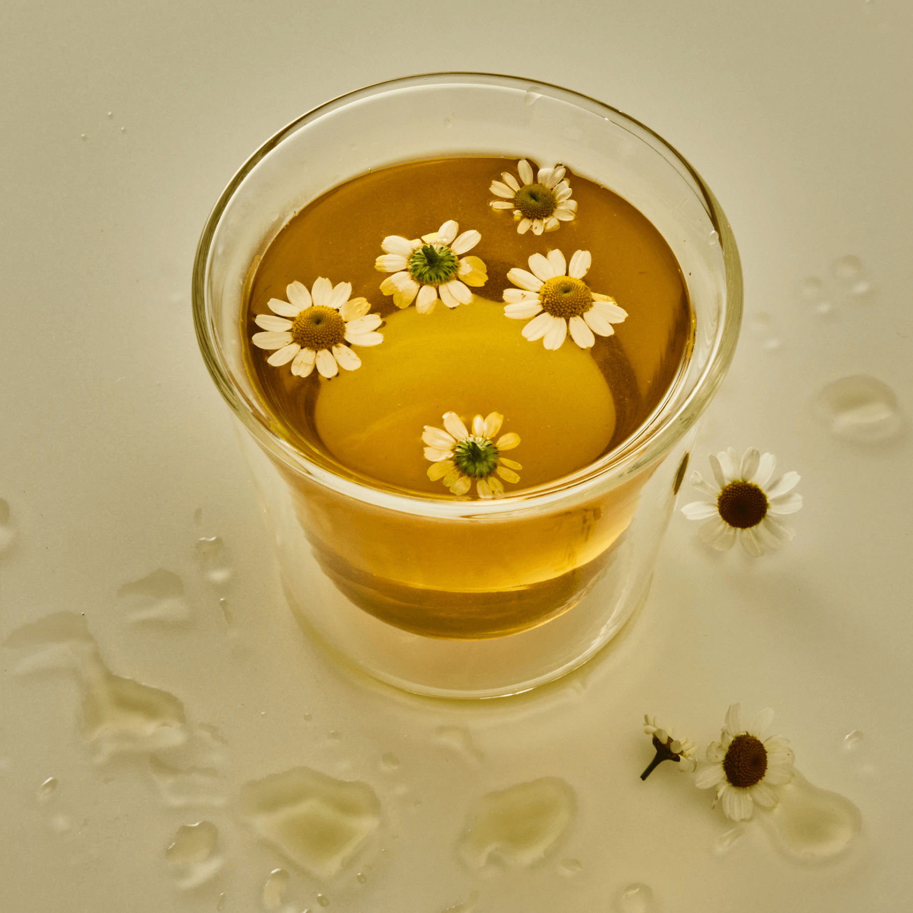 Caffeine-Free Tea | Decaf and Herbal Varieties | Rishi Tea